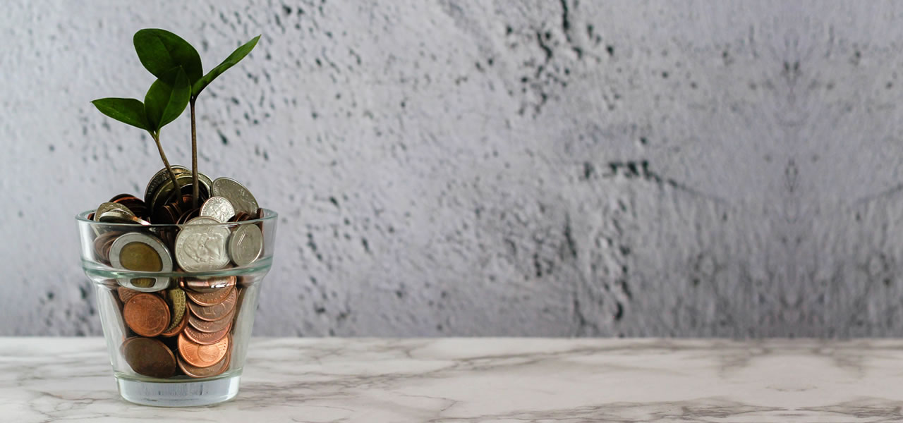 Saving Products – Emerald Sacco