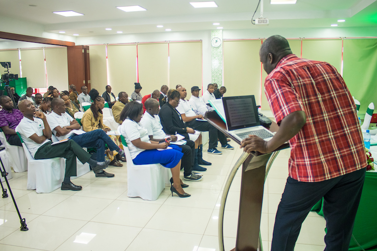 Gallery – Emerald Sacco