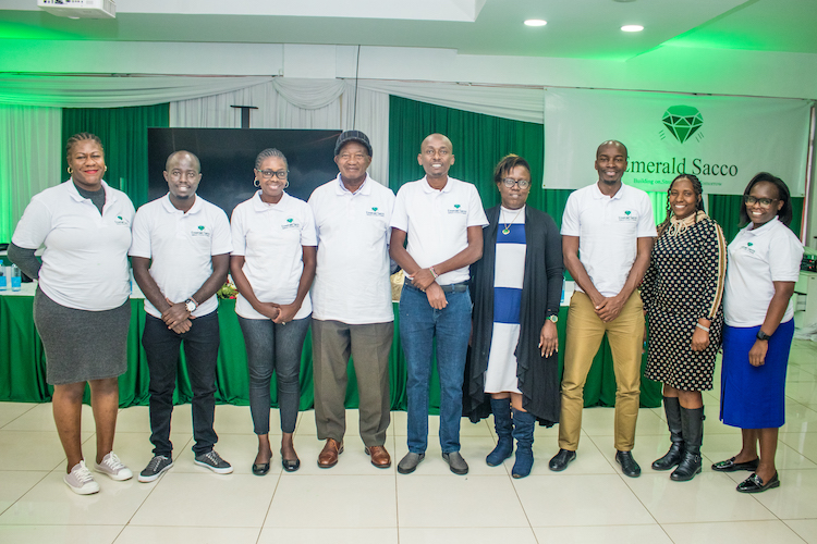 Gallery – Emerald Sacco